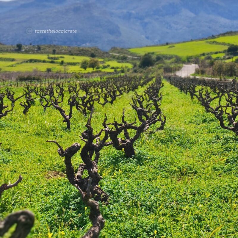 Cretan Guide: Why Crete is Different from the Rest of Greece